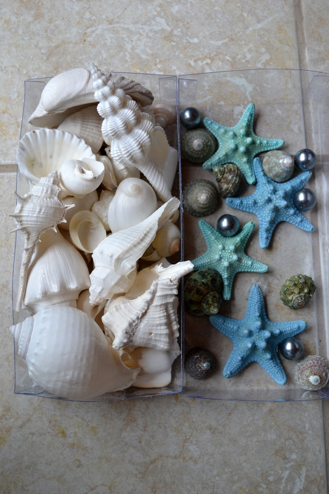 Crochet in Color: Sea Shell Project