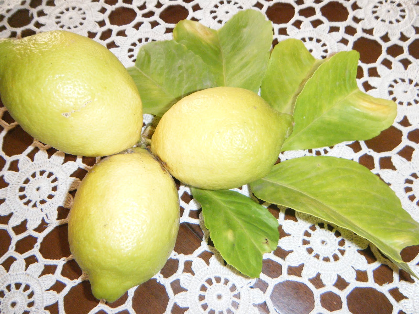 acquadifuoco: ODE AL LIMONE