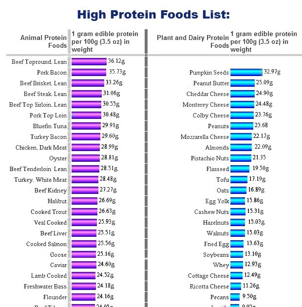 Rider Health: High Protein Foods - Animal and plant sources