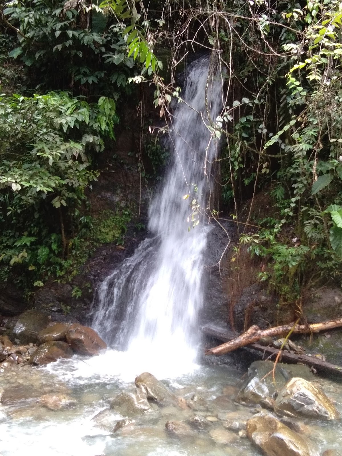 MT TRUSMADI VIA SINUA: PENDAKIAN GUNUNG TRUSMADI