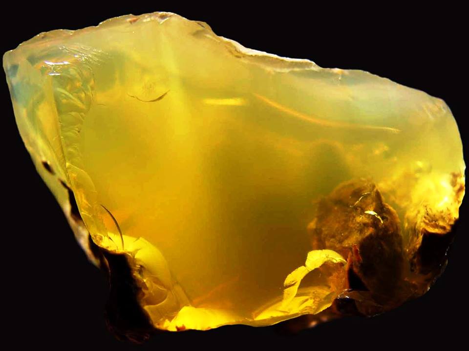 Types of Opal With Photos - Geology In