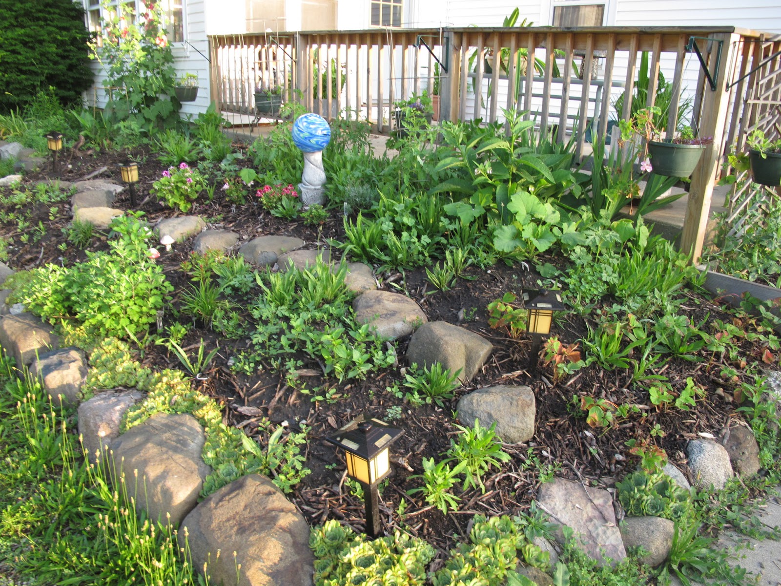 Joe's Garden Journal: Hugelkultur Update 6/27/13