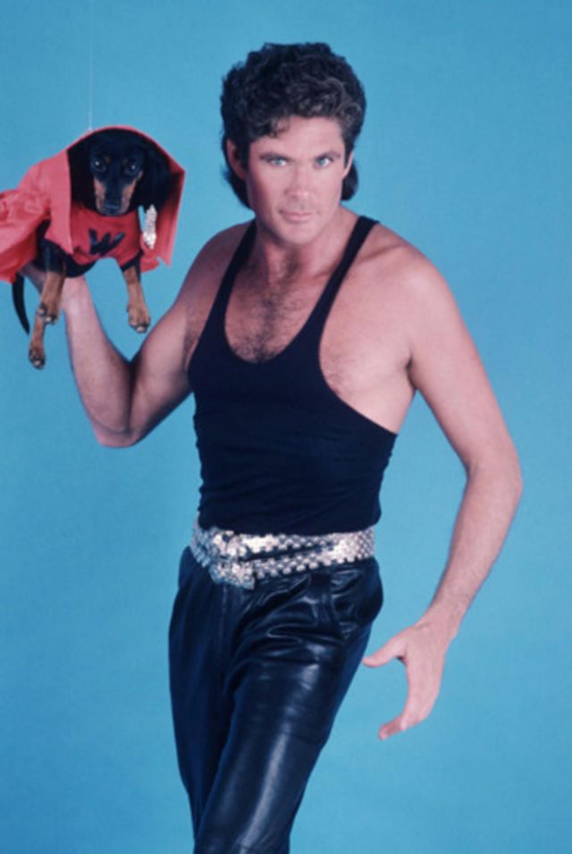 Don't Hassle The Hoff! 30 Cheesy Portraits of David Hasselhoff Like You ...