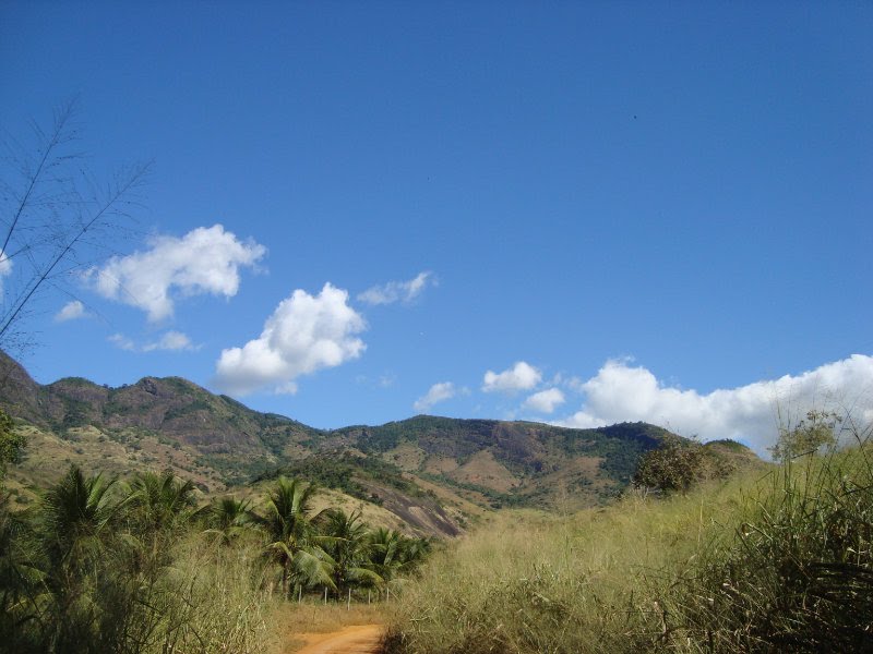 Monjolo News: Conheça o Monjolo