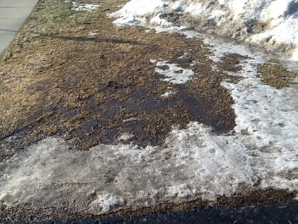 Lawn*Doctor Lawn Care Insights: Winter salt and plowing damage to lawns