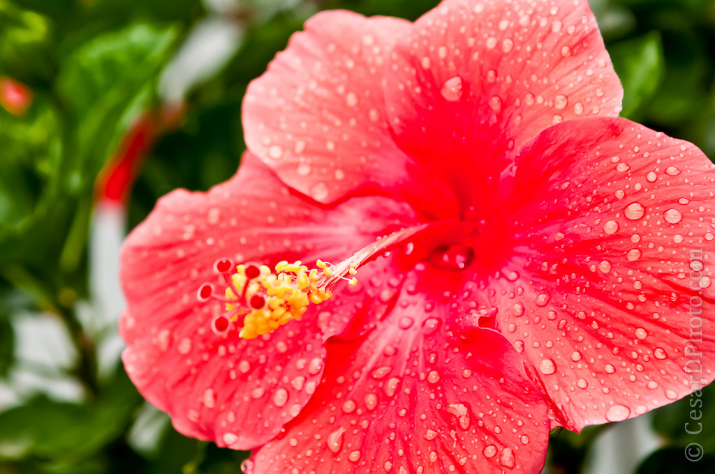 Stephanie G Photography Class: rule of thirds ~ leading lines ~ filling ...