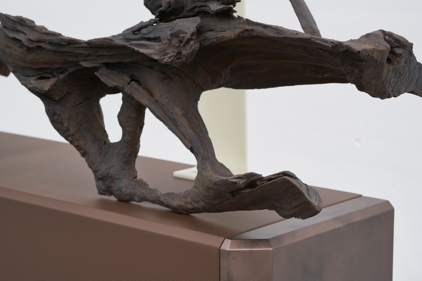 Daily Lazy: Philip Seibel at Berthold Pott / Cologne