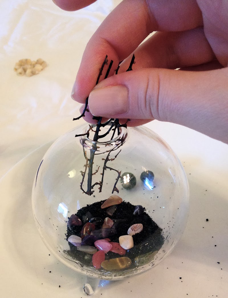 The Fern and Mossery: Marimo Moss Ball Terrariums from ...