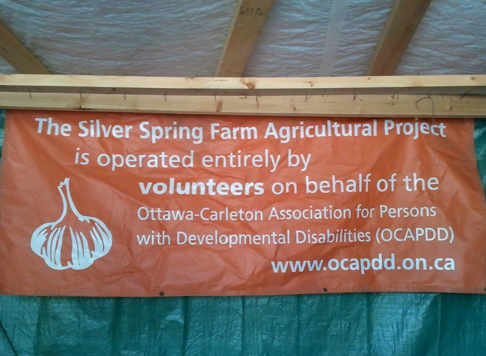 If Music be the Food of Love, Play On: Silver Spring Farm Garlic Fundraiser