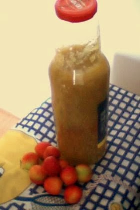 ♥ Retete simple si gustoase ♥: Muraturi/siropuri/dulceata/compot