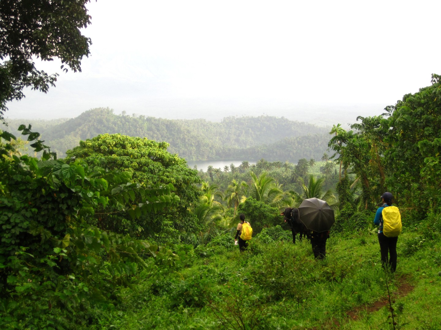 Twin Day Hike with Trail Adventours
