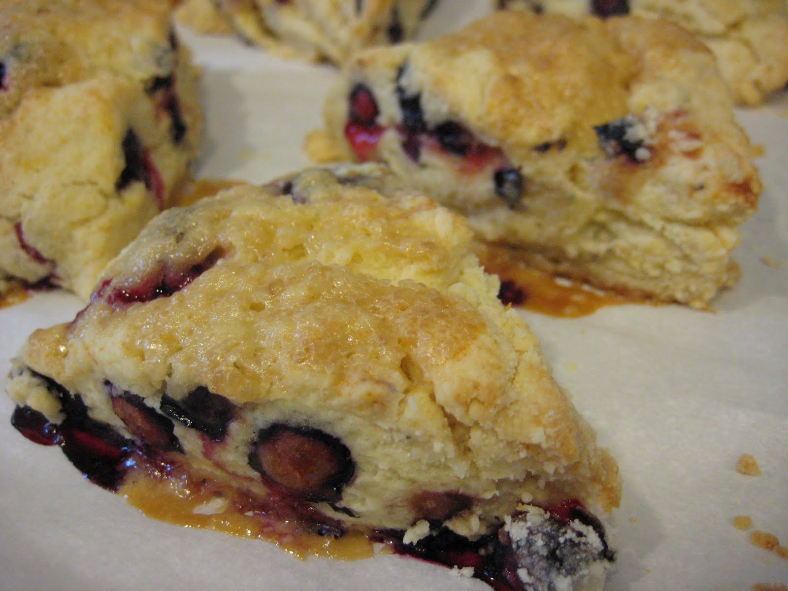 americanina: Scone-a-rama