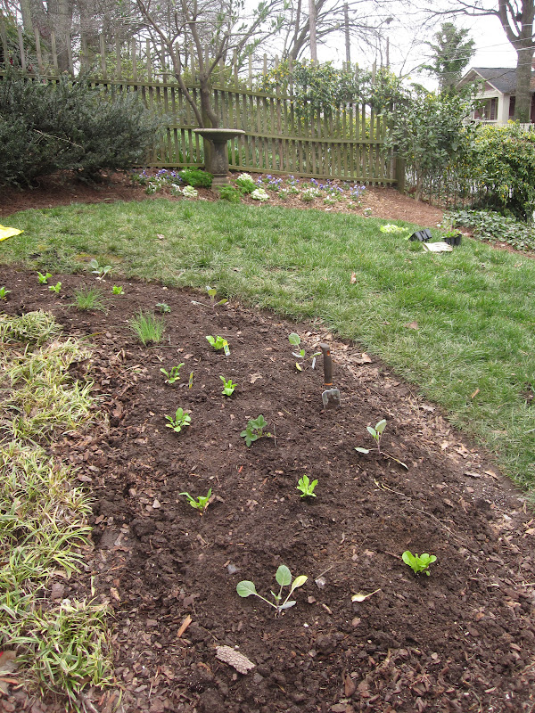 And Topher Too: Spring vegetable garden 2012
