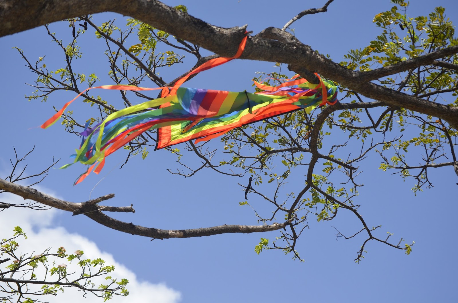 French Vocabulary Illustrated: accroc