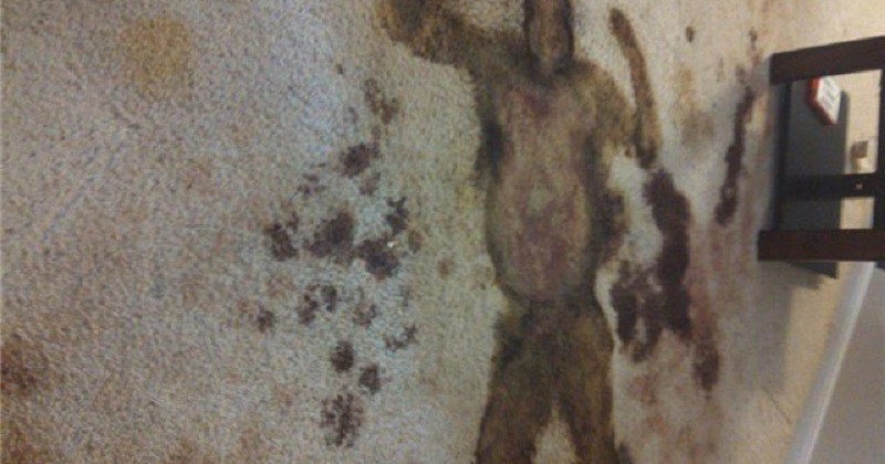 Notícias Inusitadas: Kodokushi, fenômeno conhecido como morte solitária ...