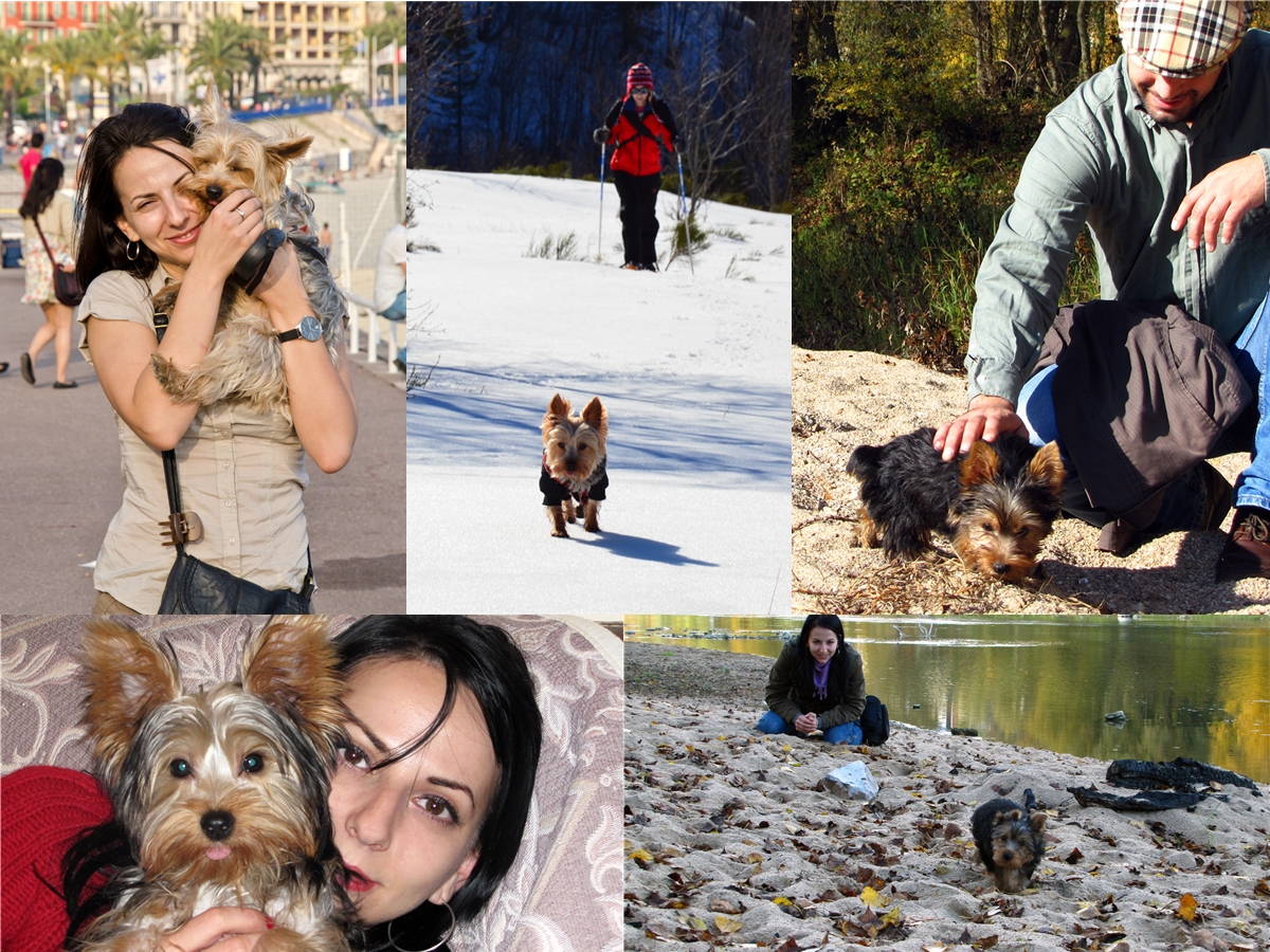 La mulți ani Azorel! (2 ani) - Blogul Larisei