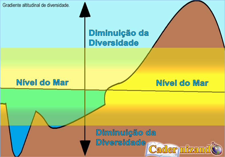 Cadernizando: Gradiente altitudinal de diversidade