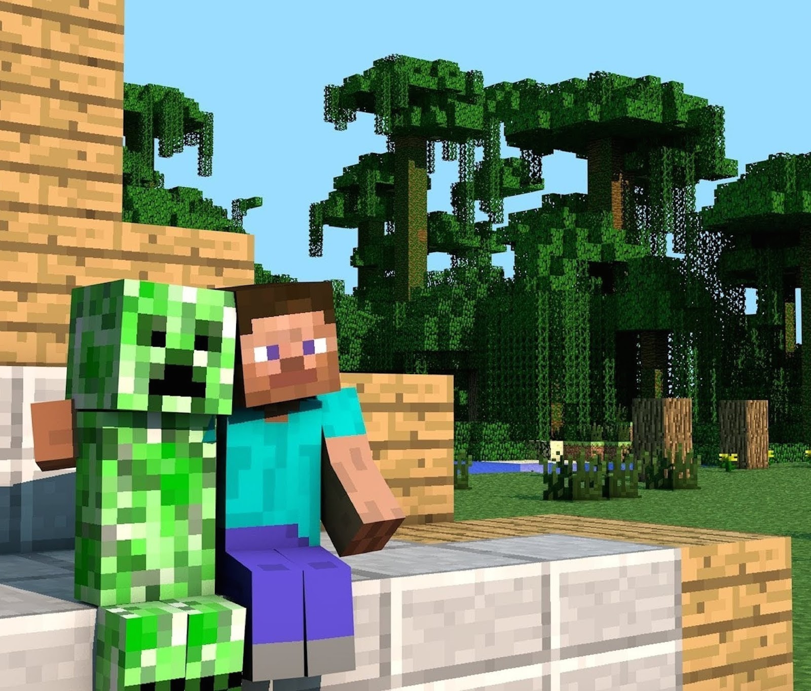 First Minecraft PS Vita Screenshot Revealed ~ PS Vita Hub | Playstation ...