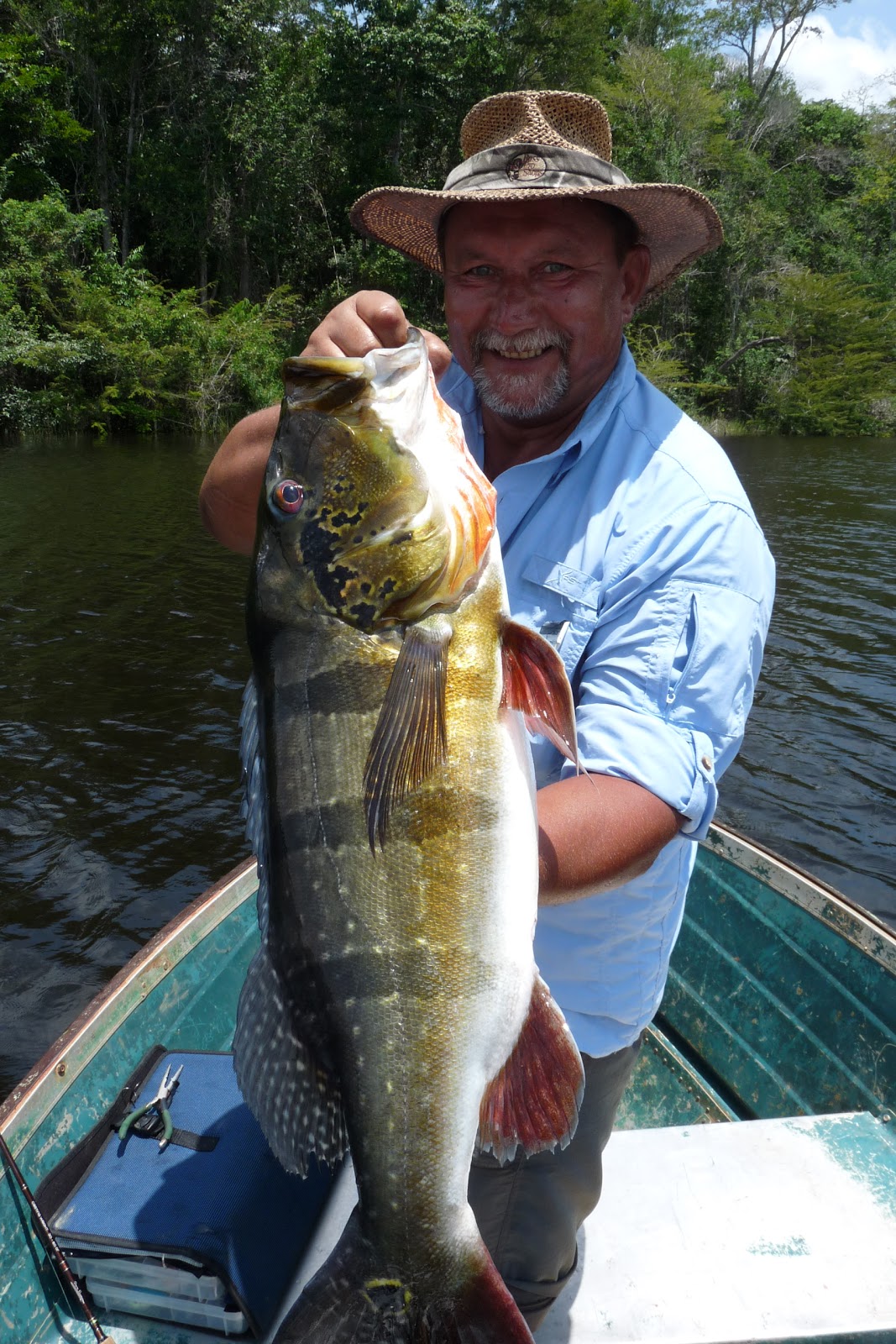 PAYARA FISHING LODGE: UN DIA DE PESCA EN GURI