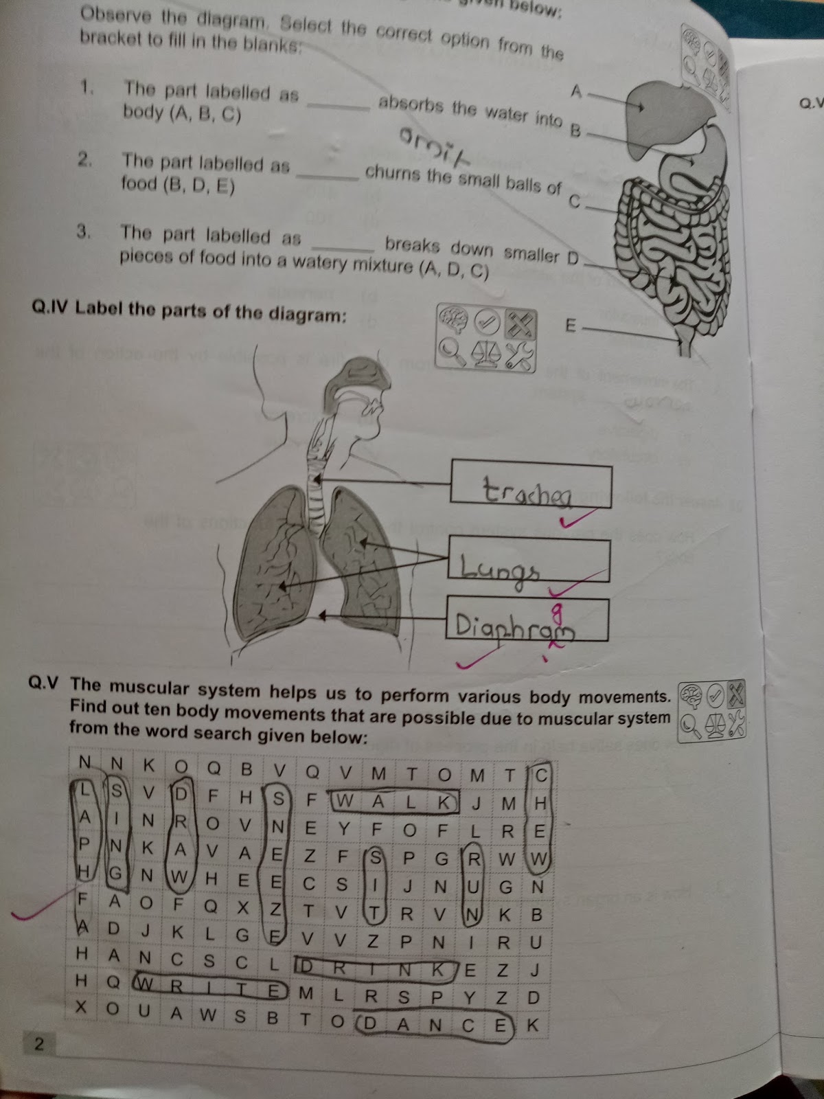 PIS VADODARA STD 4: EVS HUMAN BODY SYSTEMS-WORKBOOK AND TEXTBOOK EXERCISE