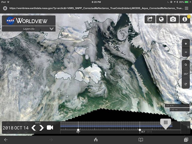 Seemorerocks: Algae and bacteria in waters slowed the recovery of ...