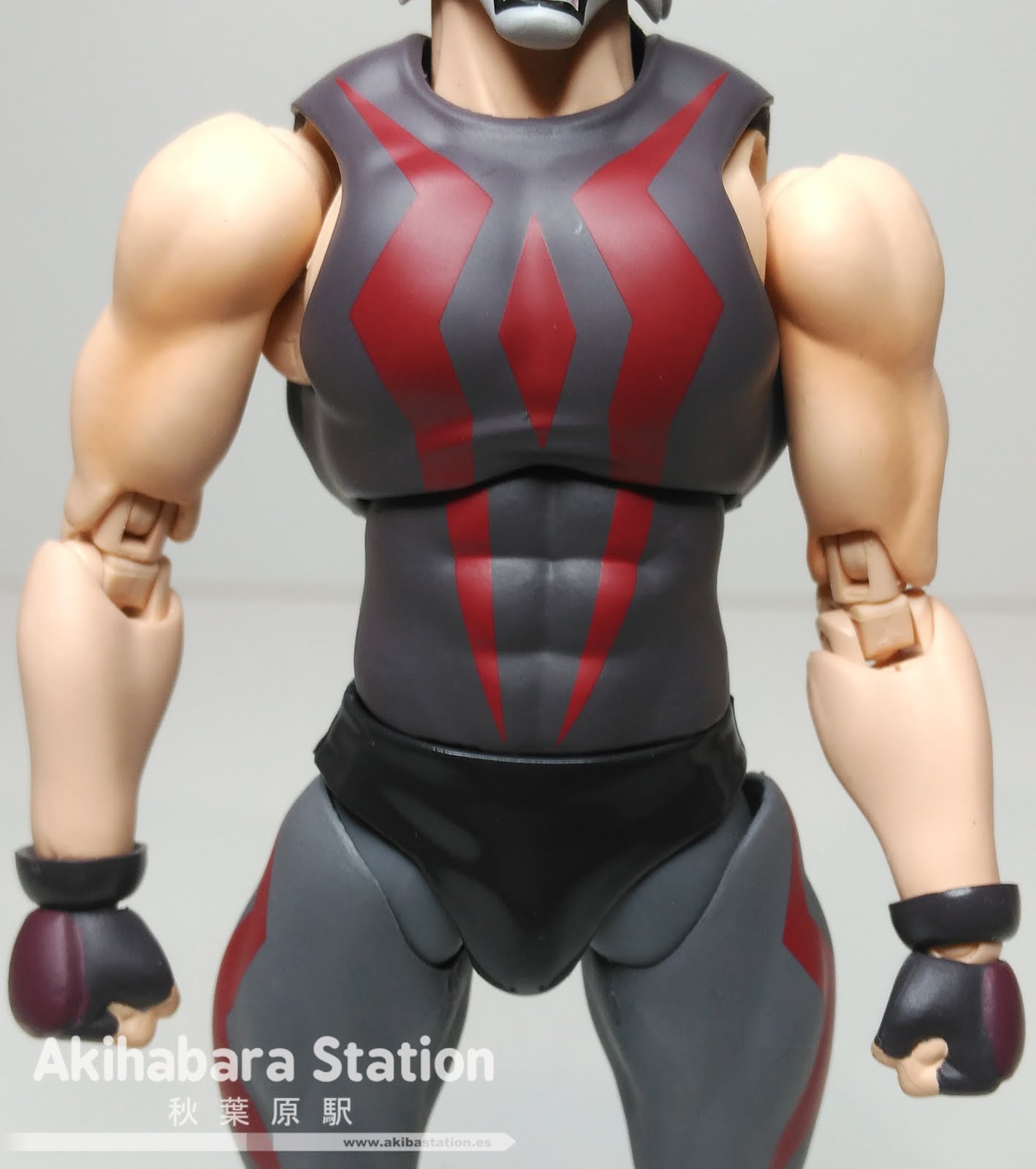 Figuras: Review de los S.H.Figuarts "Tiger Mask" y "Tiger the Dark ...