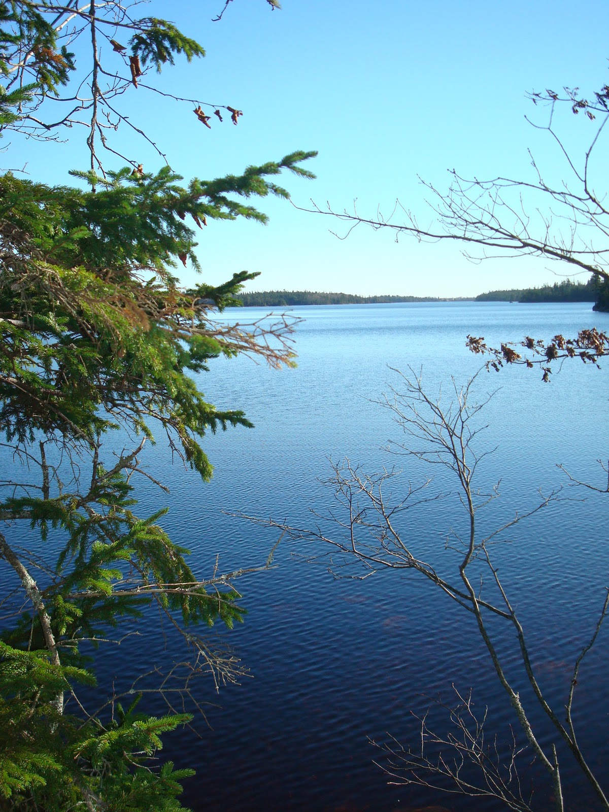 Halifax Nature Conservation: Pictures of Long Lake Provincial Park