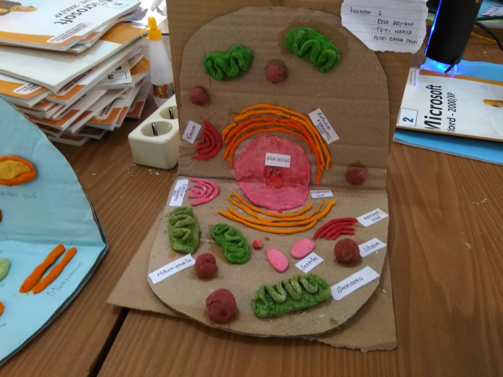 Contoh Model Sel Hewan dan Sel Tumbuhan