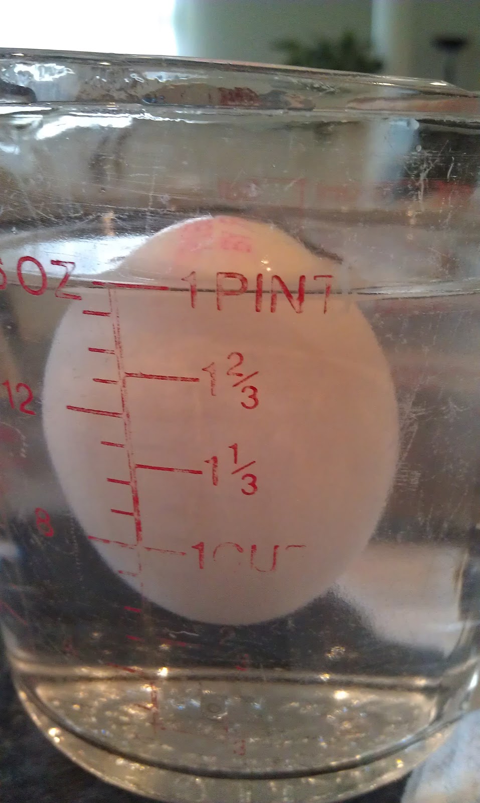 Smilie Mommy Quilts: How to test if eggs are good or bad (for freshness)