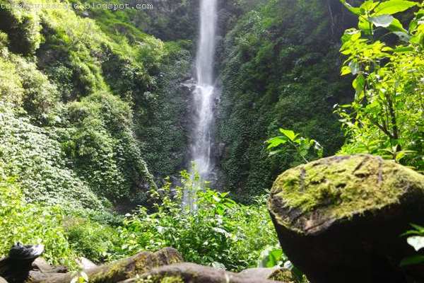Wisata: Rute, Lokasi ke Coban Rais Malang: Air Terjun Bikin Mata Segar