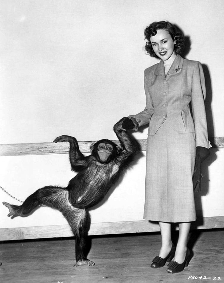 Los Angeles Morgue Files: "The Red House" Actress Allene Roberts 1928 ...