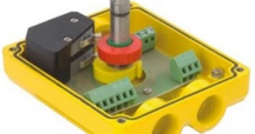 Rotex Limit Switch DXLW 11A2 Weatherproof