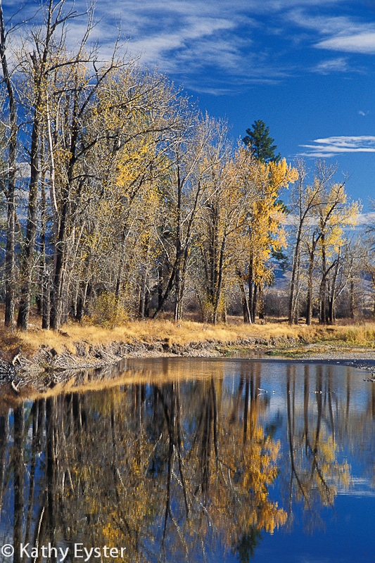 November from Seasons of Montana 2012 calendar