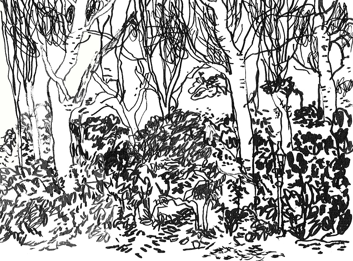 James Hobbs: Routes through a sketchbook