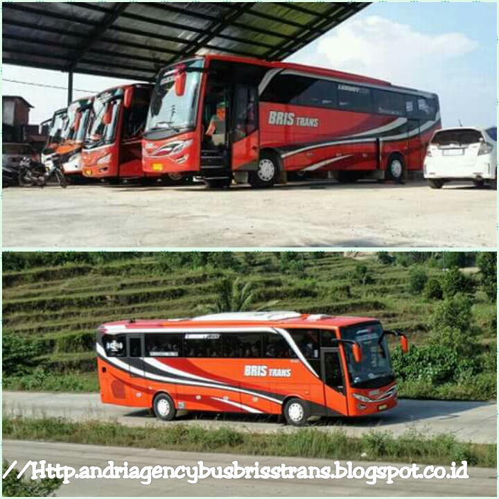 bus pariwisata Bris Trans 08998385846 - 082220277709 - 087777146999 ...