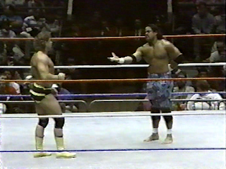 Steve's Graps: WWF Primetime 3-14-1988