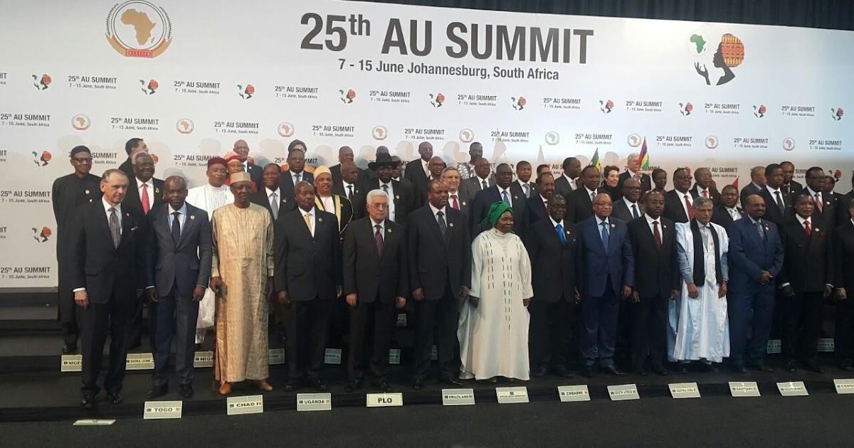 25th African Union Summit, June 2015