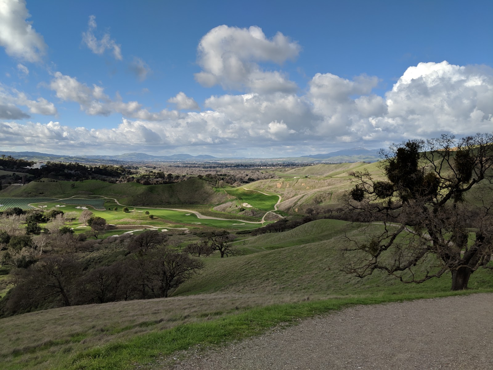 Naturetastic Blog: Patterson Pass & Del Valle Regional Park (Cellphone ...