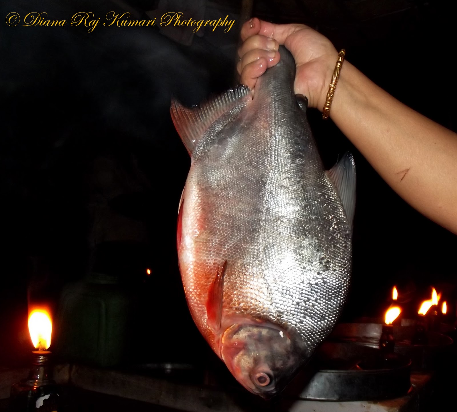 Diana Raj Kumari Photography: Pengba Manbi or Piranha??