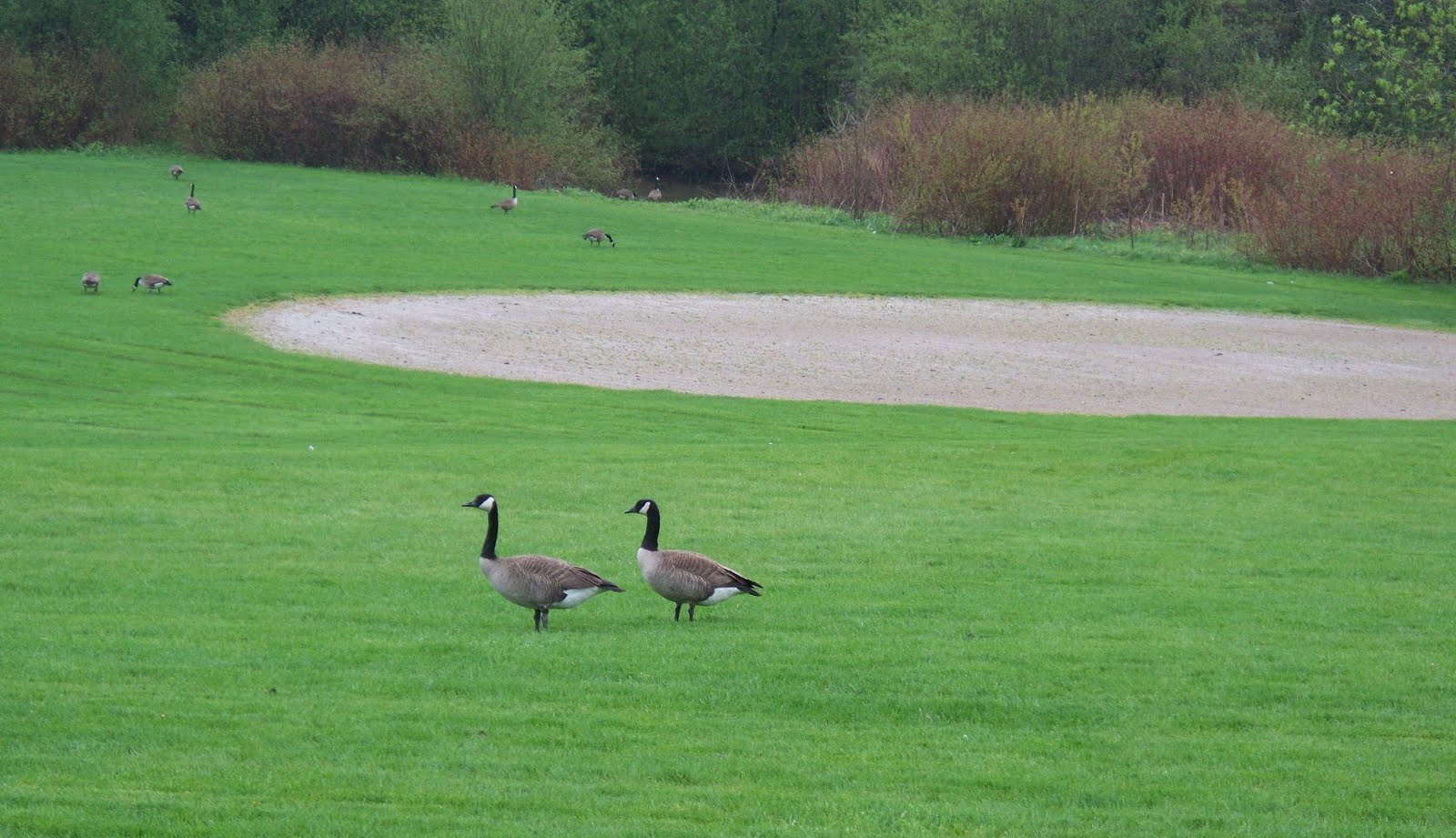 The Fourth Continent