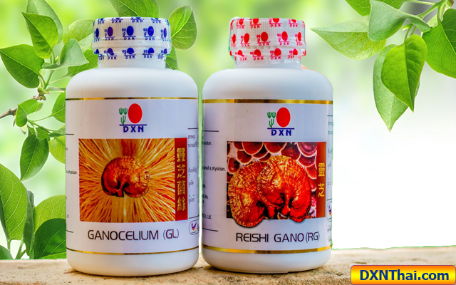 GANODERMA LUCIDUM EN POLVO RG (Reishi Gano) y GL (Ganocelium) ~ DXN ...