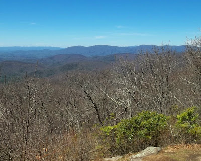 Hike 4 Heart - Adventures on the Appalachian Trail: Springer Mountain