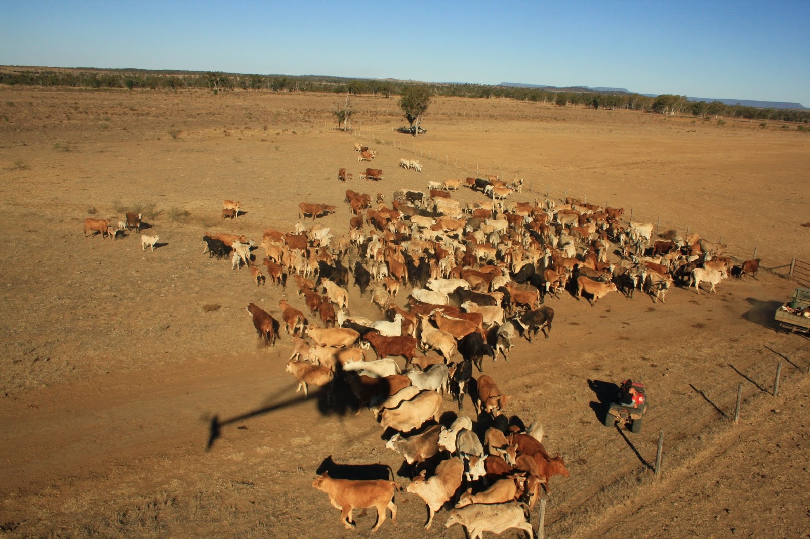 Australia: Outback farming photos