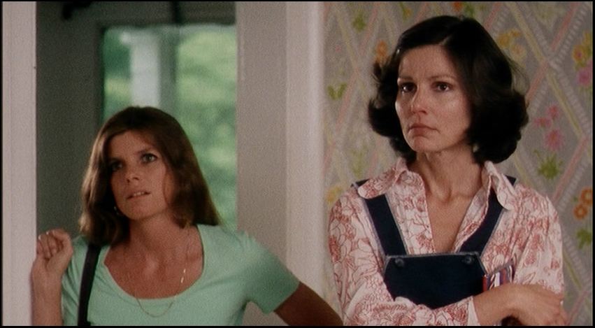 DREAMS ARE WHAT LE CINEMA IS FOR...: THE STEPFORD WIVES 1975