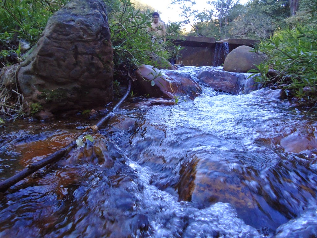 Roboré es Turismo: EN APOYO A ROBORÉ AÑO 2013