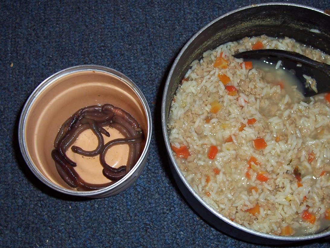 Stuart Showalter Law Blog: Earthworm Fried Rice