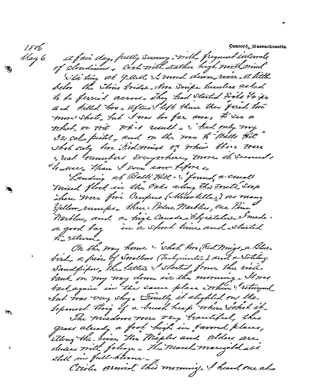 TILT – text to image linking tool