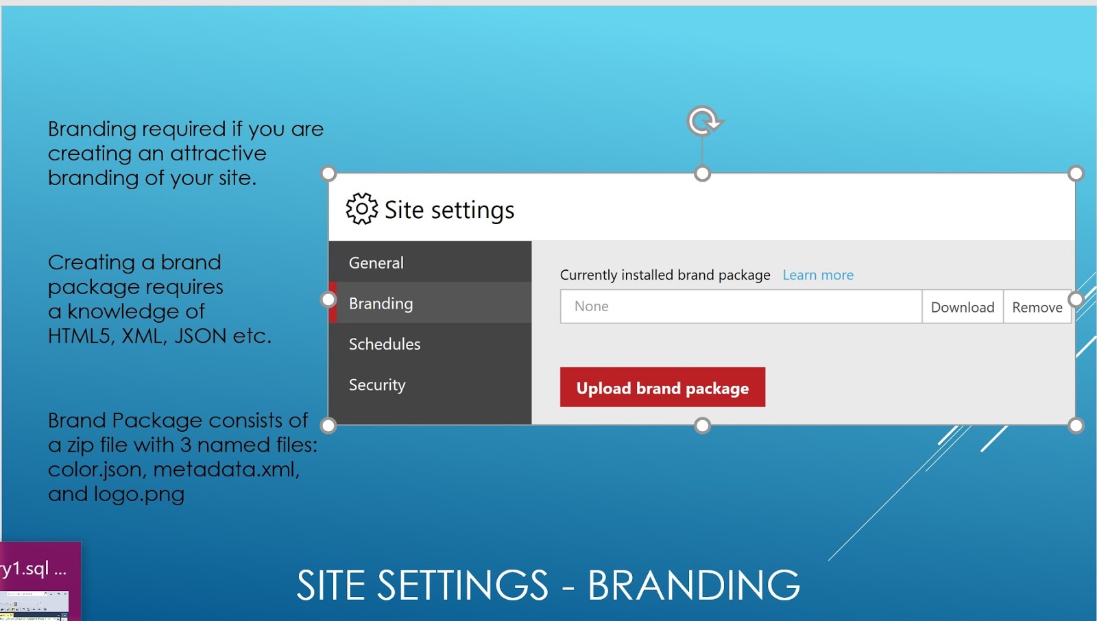 HodentekMSSS: Branding a Reporting Services Web Portal