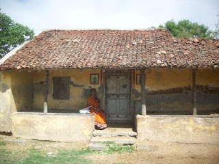 Azhinjal Tree - Nootreteeswarar Temple (Thiruvallur - Tamil Nadu) | My ...