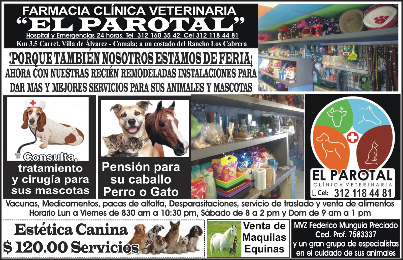 El Comala de Hoy: Adultos Mayores activos con el programa muevete, dijo ...